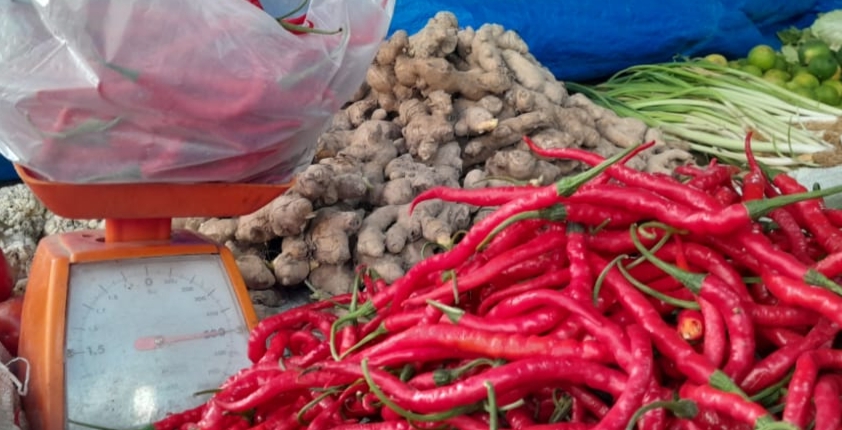Makin Pedas, Harga Cabai di Abdya Tembus Rp 120 ribu per Kilogram