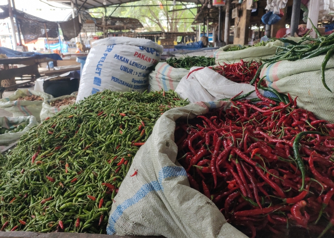 Harga Cabai Merah di Aceh Besar Rp50 Ribu Per Kilogram